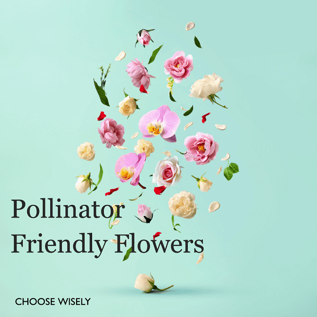 How To Attract Pollinators With Flowers In Your Garden