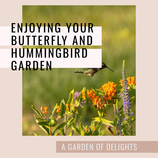 How To Attract Pollinators With Flowers In Your Garden