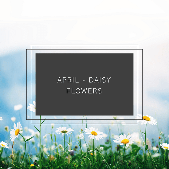 Birth Month Flowers: A Personal Touch to Every Gift!