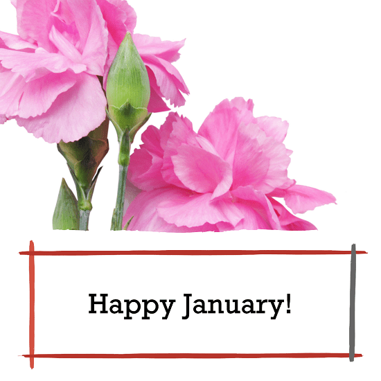Birth Month Flowers: A Personal Touch to Every Gift!